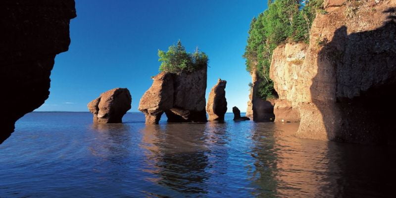 10 Fascinating Facts About New Brunswick You Didn't Know (2026)
