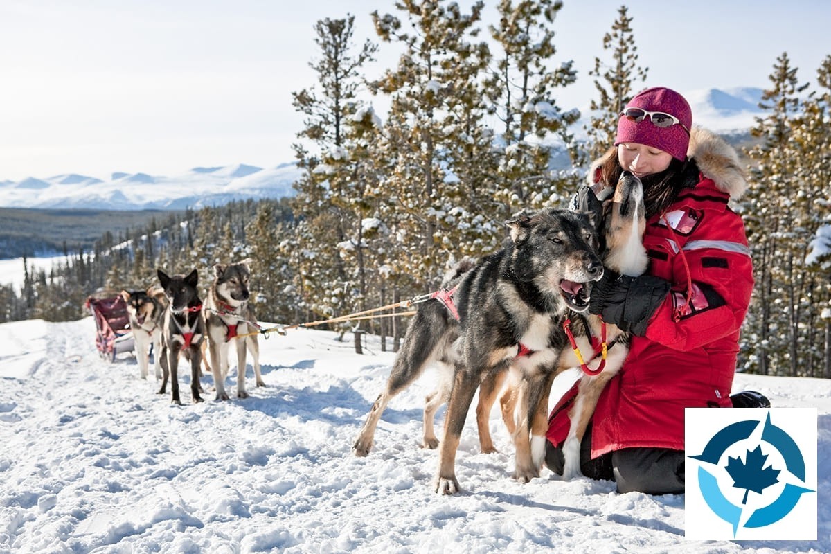 Winter adventure and Aurora viewing in the Yukon